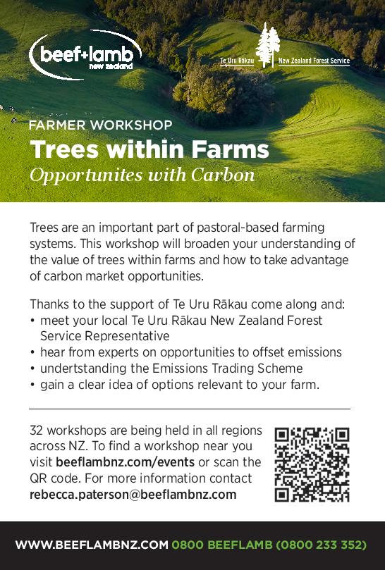 NZ Farm Forestry - Events